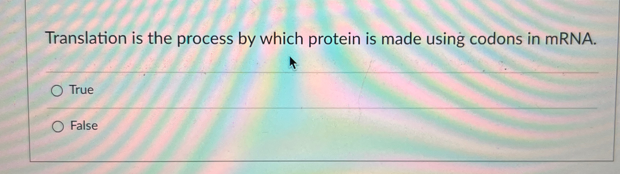 Solved Translation is the process by which protein is made | Chegg.com