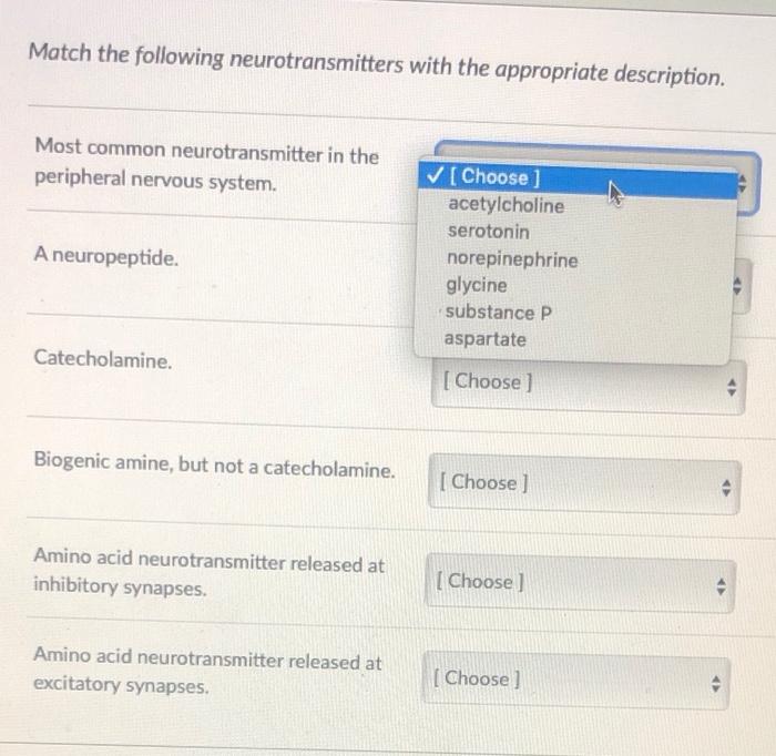 Solved Match the following neurotransmitters with the | Chegg.com