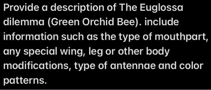 Solved Provide a description of The Euglossa dilemma (Green | Chegg.com