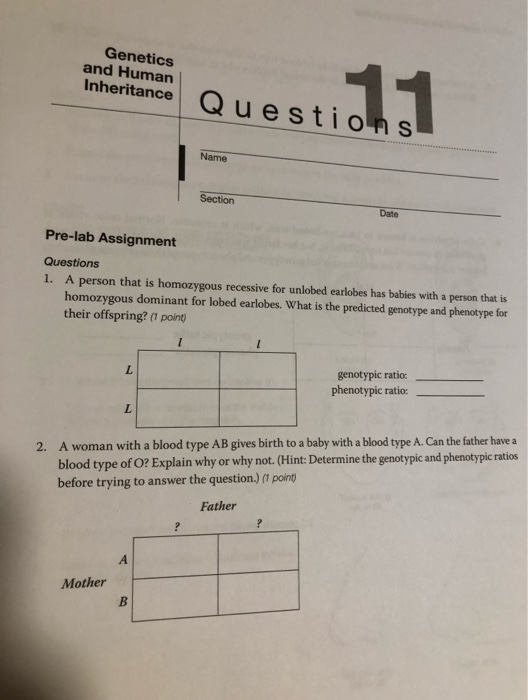 Solved Genetics and Human Inheritance 11 Questions Name | Chegg.com