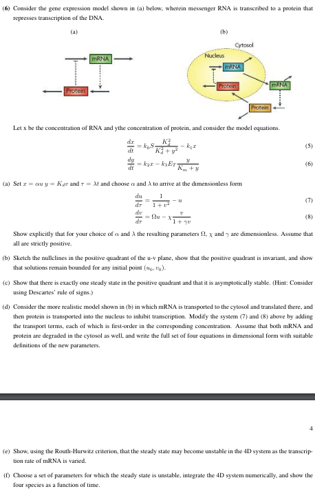 Solved (6) ﻿Consider the gene expression model shown in (a) | Chegg.com