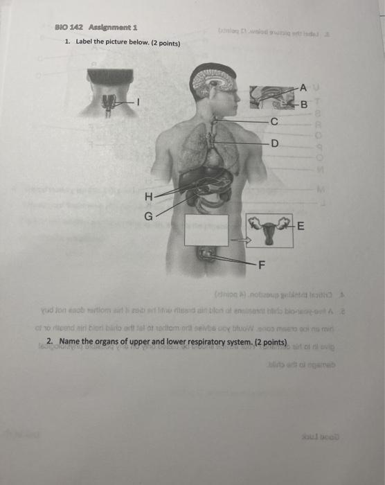 Solved BIO 142 Assignment 1 1. Label the picture below. (2 | Chegg.com