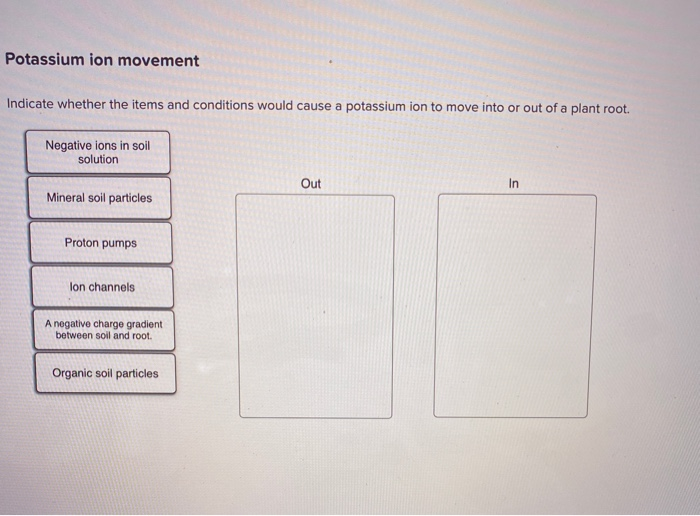 Solved They xylem and phloem Classify the items according to | Chegg.com