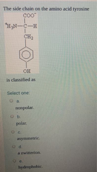 Solved The side chain on the amino acid tyrosine C007 | Chegg.com