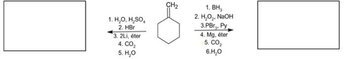 Solved 1. H2O2,H2SO4 3. 2Li, eˊter 2. HBr 4. CO2 5. H2O | Chegg.com
