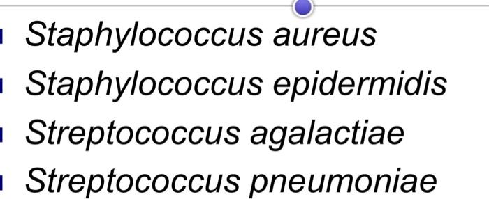 Solved Staphylococcus aureus Staphylococcus epidermidis | Chegg.com Solved Staphylococcus aureus Staphylococcus epidermidis | Chegg.com