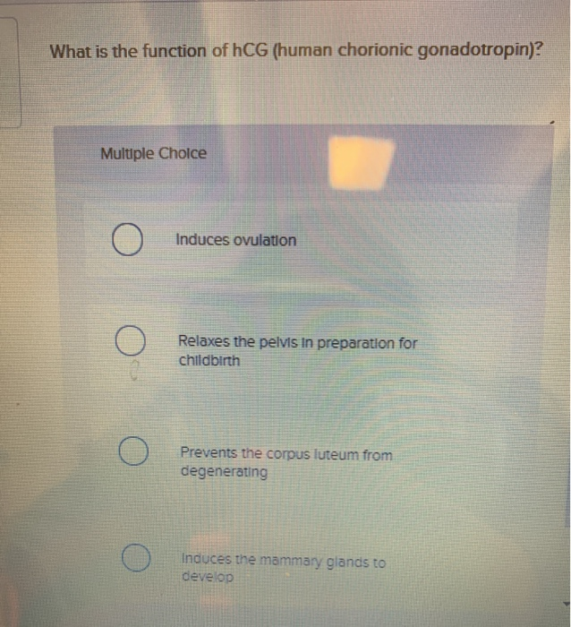 Solved What is the function of hCG (human chorionic | Chegg.com