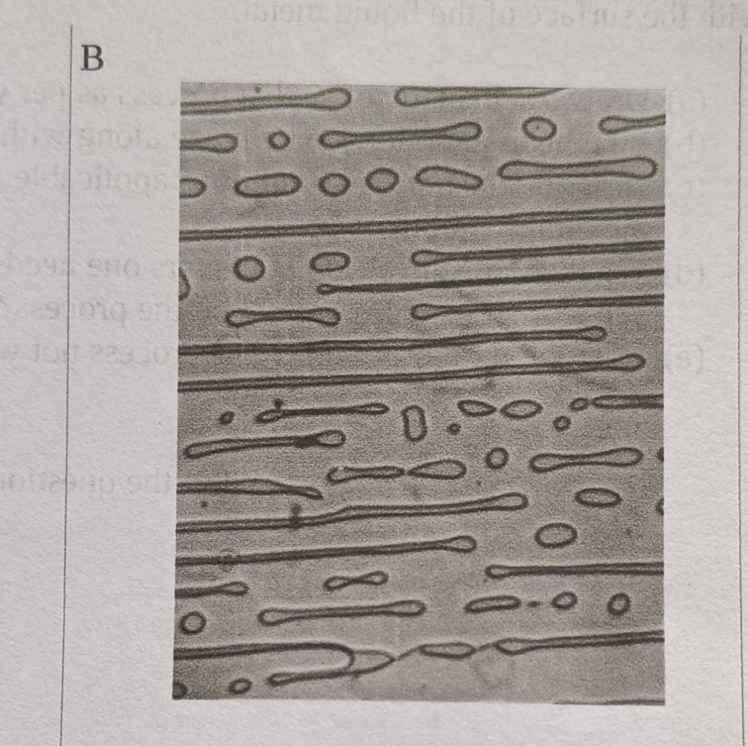 Solved [Q1] Following are four real microstructures. Propose | Chegg.com
