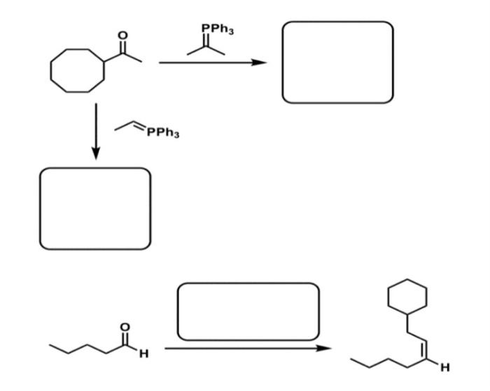 Solved PPh3 PPh3 H H | Chegg.com