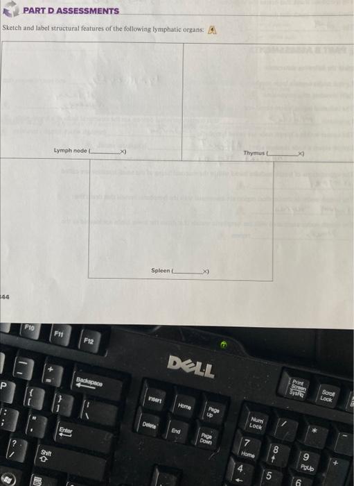 Solved PART D ASSESSMENTS Sketch and label structural | Chegg.com