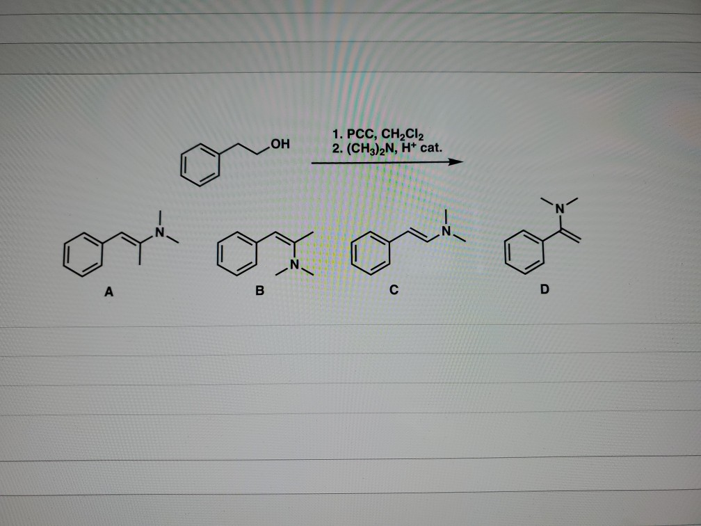 Solved What is the major product of this reaction sequence? | Chegg.com