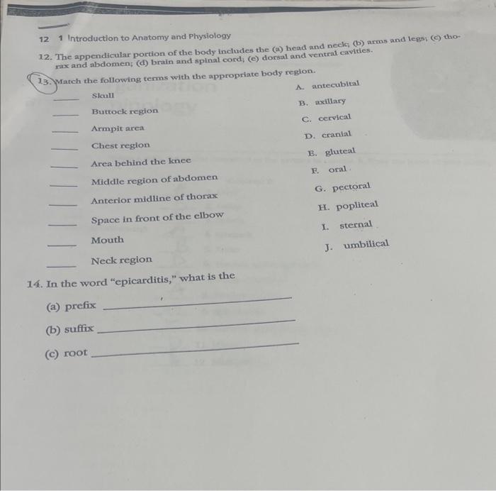 Solved 121 Introduction to Anatomy and Physiology 12. The | Chegg.com