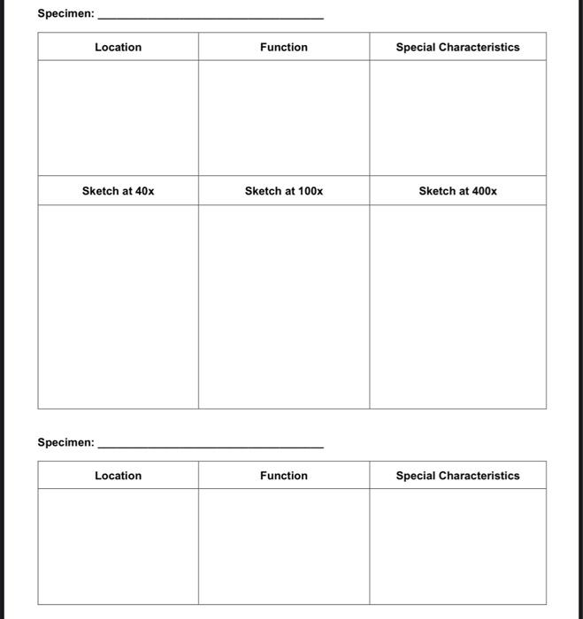 Solved II. The Microscope and Cells 1. Draw each of your | Chegg.com