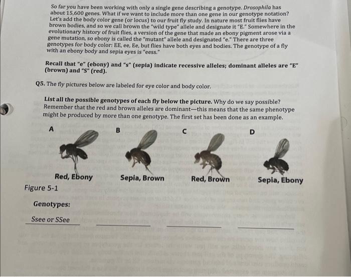 Solved Q6. For the problem below, translate the fly | Chegg.com