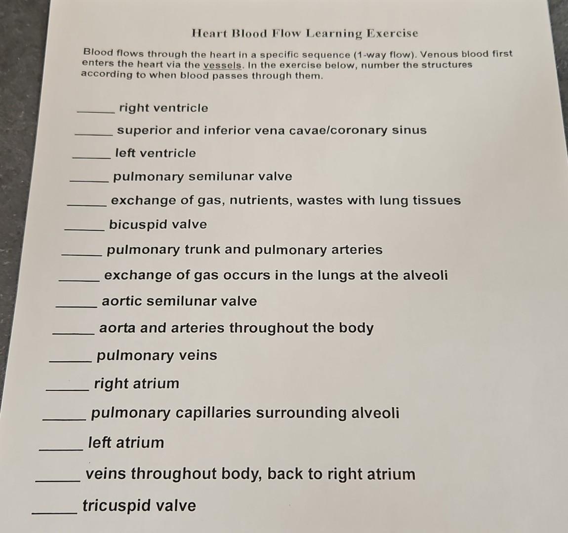 Solved Heart Blood Flow Learning Exercise Blood flows | Chegg.com