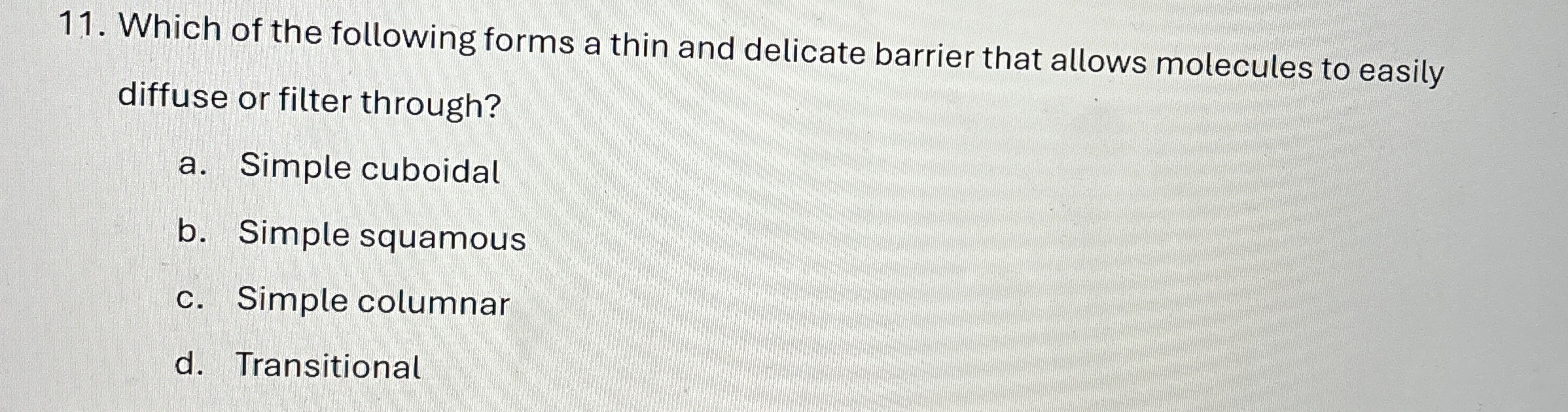 Solved Which of the following forms a thin and delicate | Chegg.com