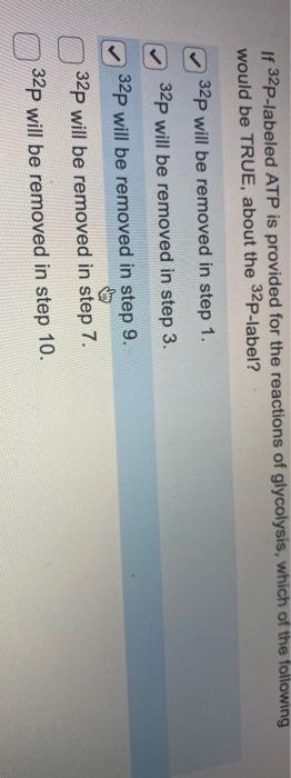 Solved If 32p-labeled ATP is provided for the reactions of | Chegg.com
