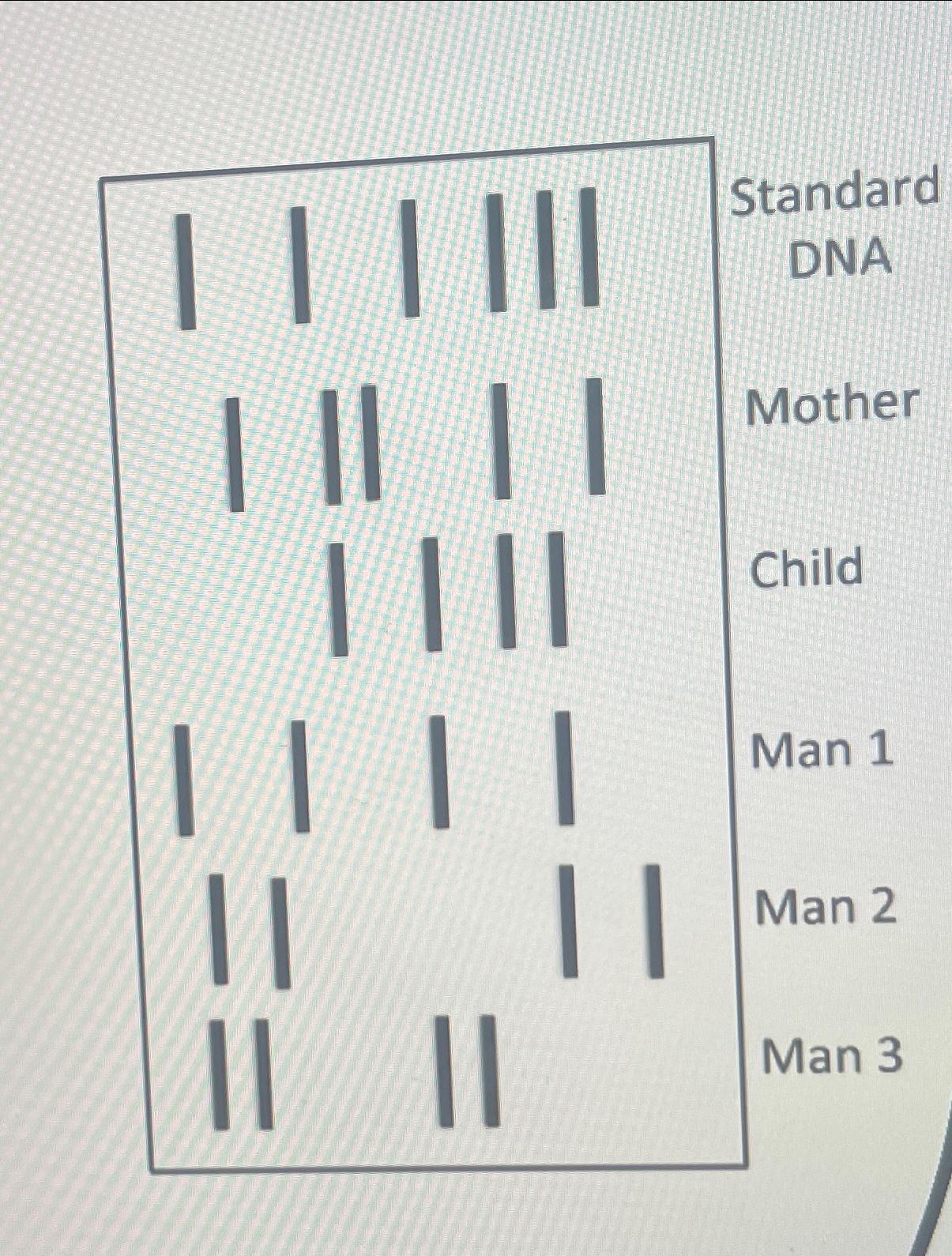 Standard DNAMotherChildMan 1Man 2Man 3 | Chegg.com