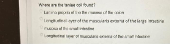 Solved Where are the teniae coli found? Lamina propria of | Chegg.com