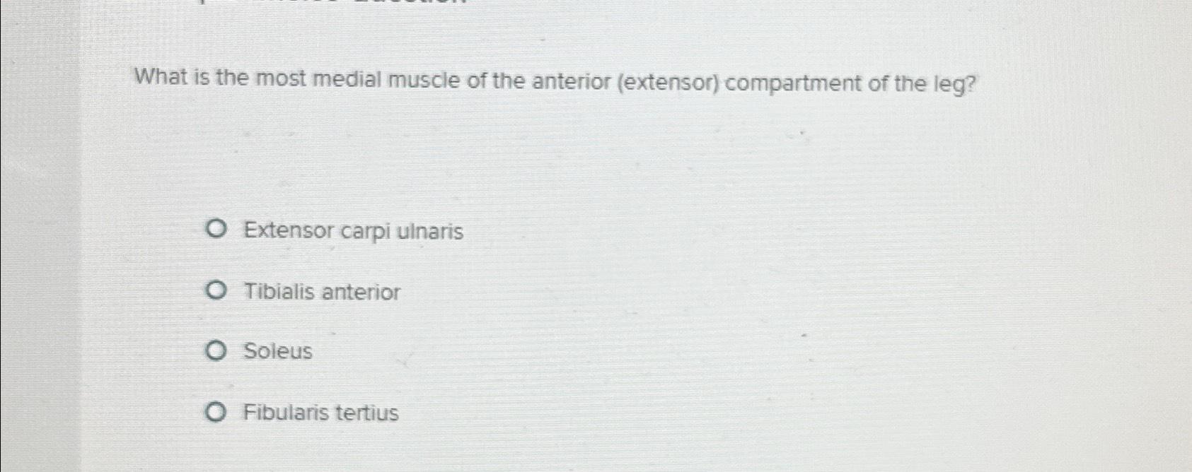 Solved What is the most medial muscle of the anterior | Chegg.com