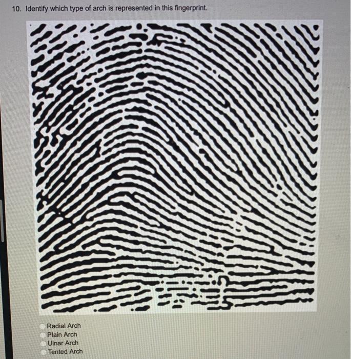 Solved 10. Identify which type of arch is represented in | Chegg.com