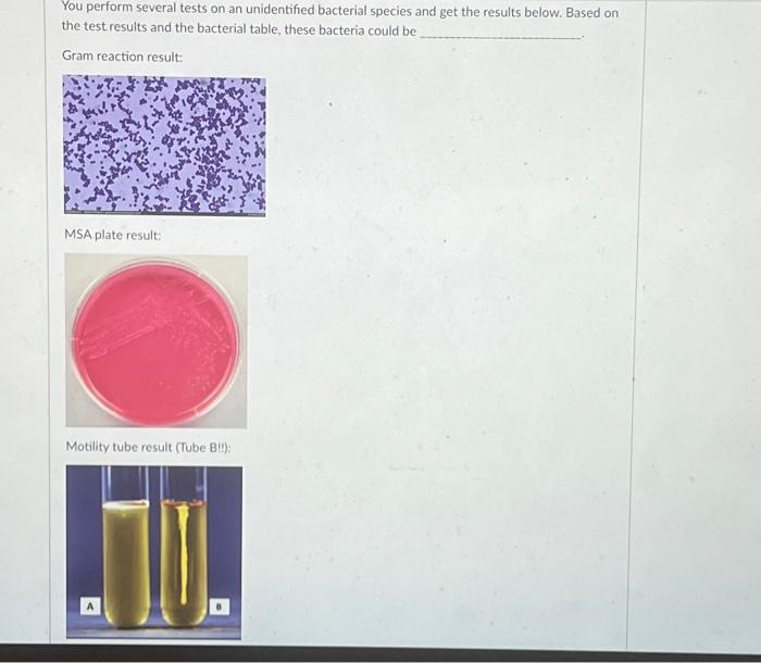 You perform several tests on an unidentified | Chegg.com
