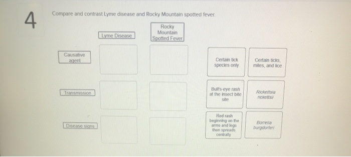 Solved 4 Compare and contrast Lyme disease and Rocky | Chegg.com