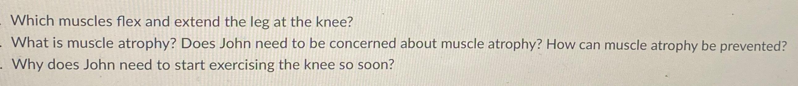 Solved Which muscles flex and extend the leg at the | Chegg.com