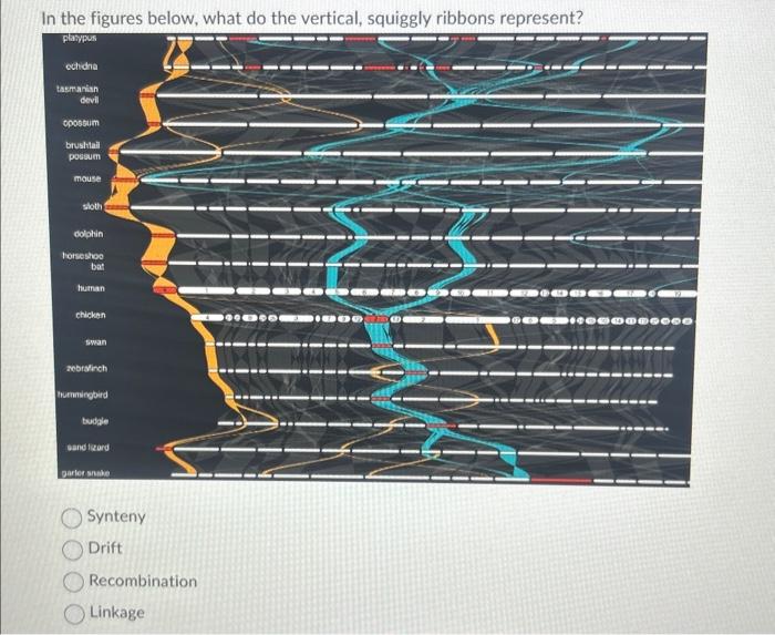 Solved In the figures below, what do the vertical, squiggly | Chegg.com