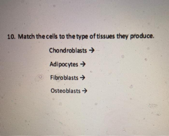 Solved 10. Match the cells to the type of tissues they | Chegg.com