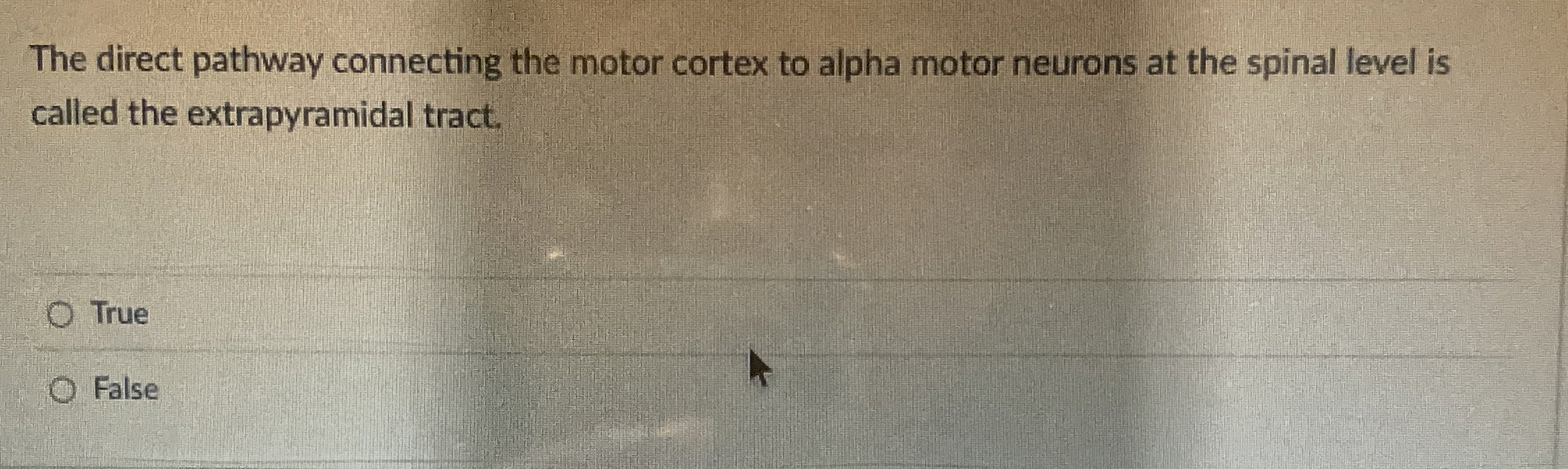 Solved The direct pathway connecting the motor cortex to | Chegg.com