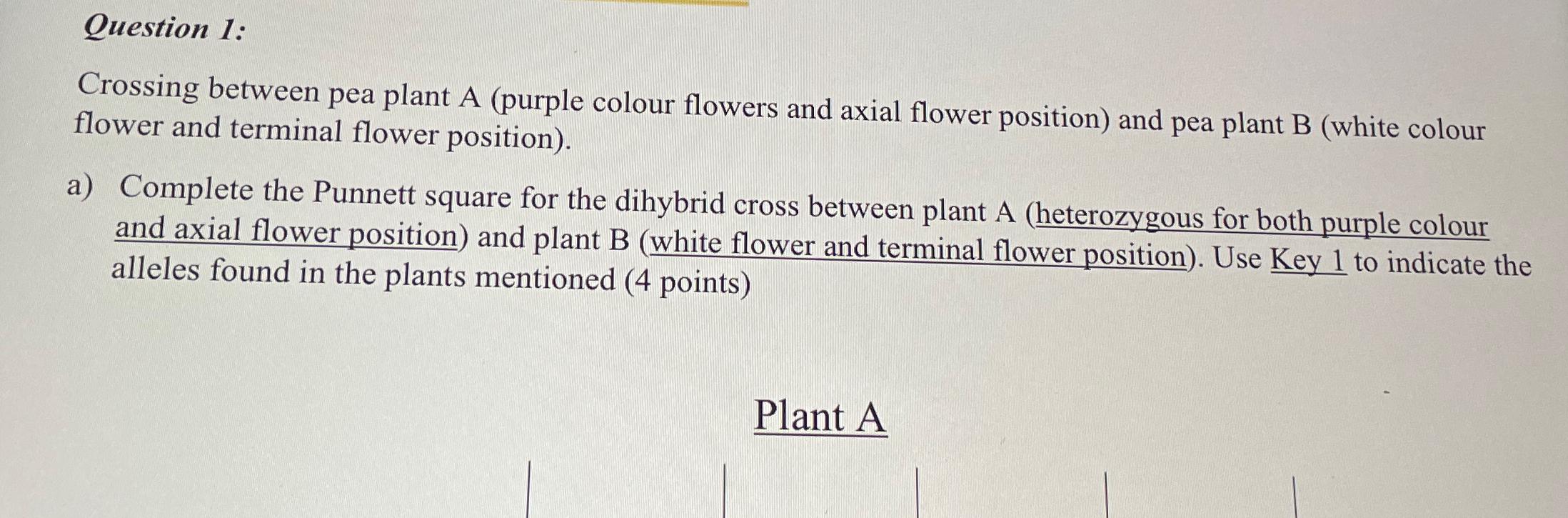Solved Question 1:Crossing between pea plant A (purple | Chegg.com