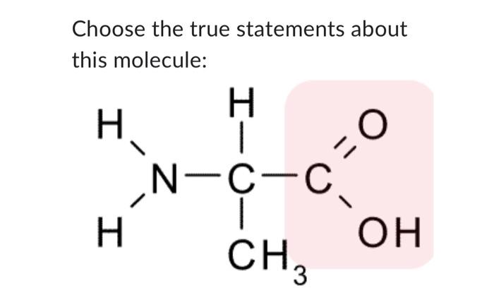 Solved Choose the true statements about this molecule:The | Chegg.com