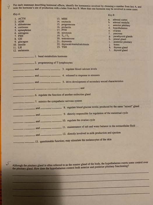 Solved For each statement describing hormonal effects, | Chegg.com
