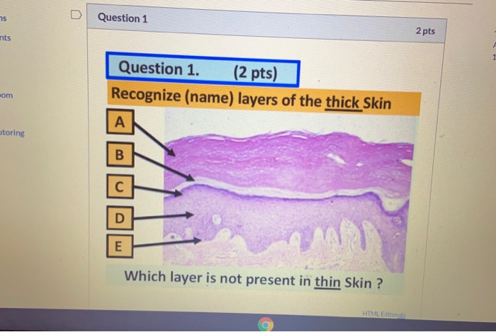 Solved 25 Question 1 nts 2 pts 1 Question 1. (2 pts) | Chegg.com