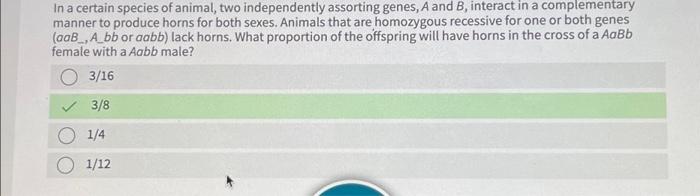 Solved In a certain species of animal, two independently | Chegg.com