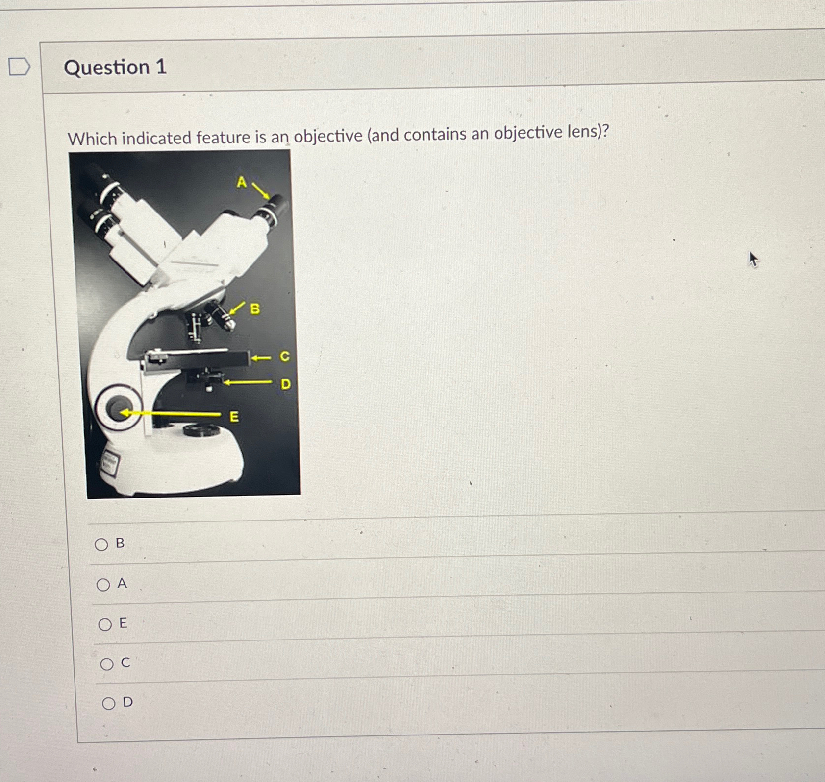 Solved Question 1Which indirated feature is an objective | Chegg.com