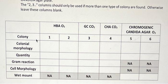 Solved vaginal swab- colonial morphology, cell morphology | Chegg.com