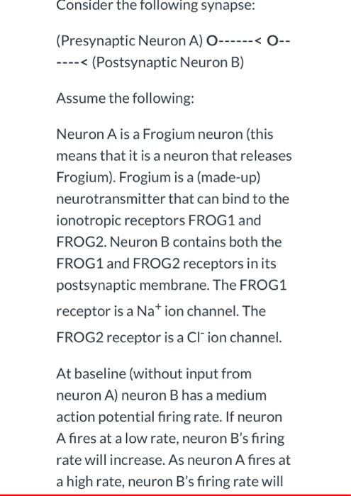 Solved Consider the following synapse: (Presynaptic Neuron | Chegg.com