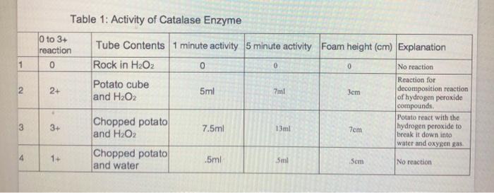 Solved Introduction: The purpose of this lab is to perform | Chegg.com