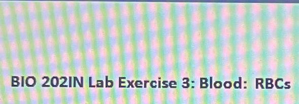 Solved BIO 202IN Lab Exercise 3: Blood: RBCs | Chegg.com