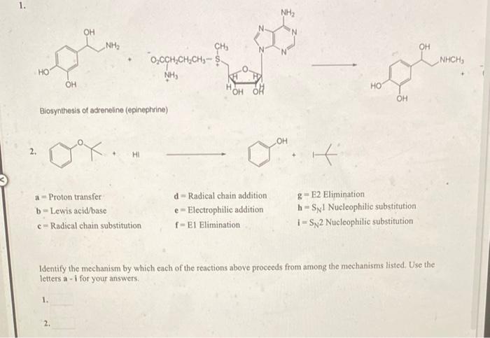 Solved NH OH NH2 CH OH NHCH3 HO 0_CCH_CH_CH NH OH HO OH OH | Chegg.com