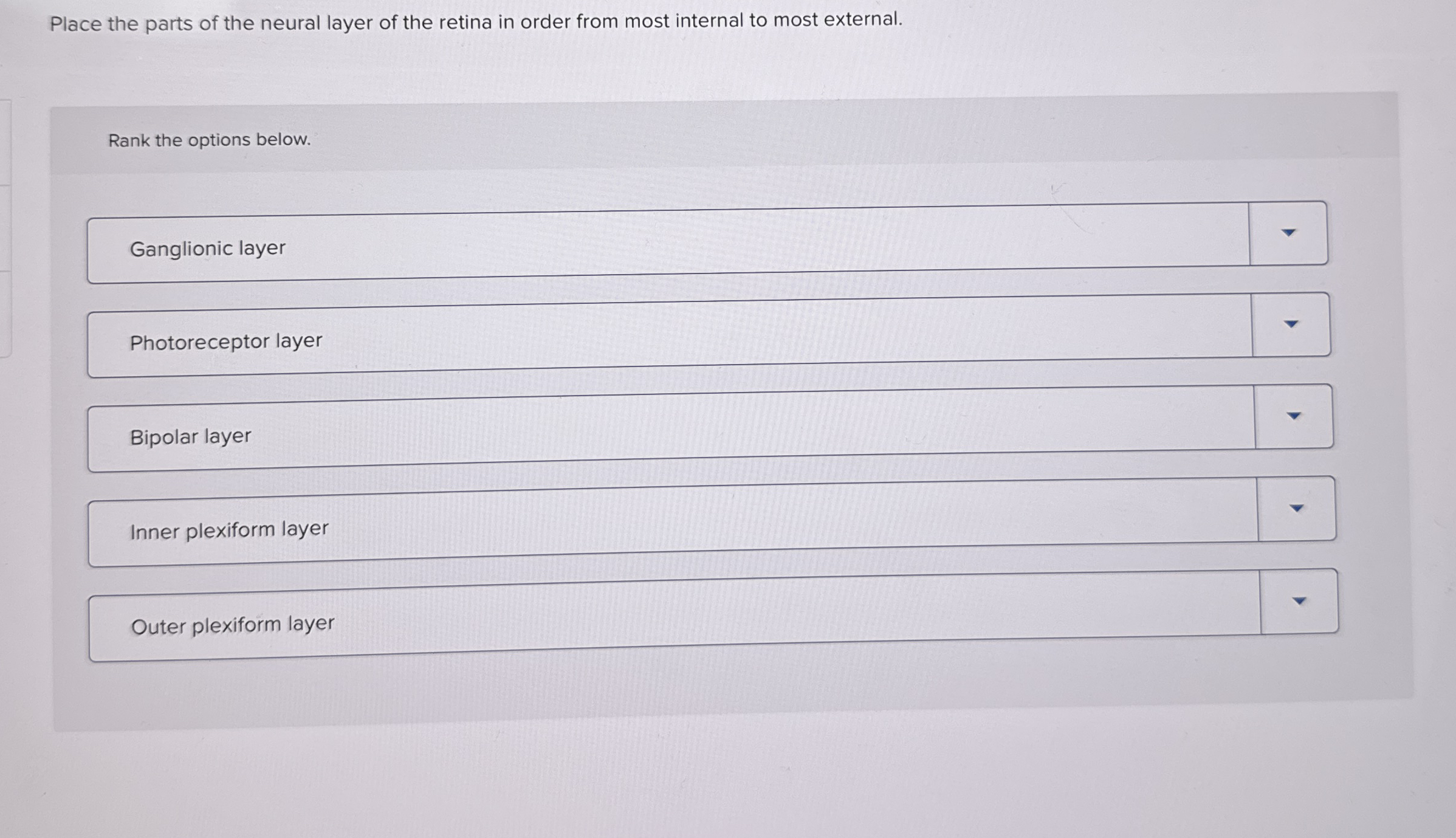 High Quality SOLUTION Place the parts of the neural layer of the retina in | Chegg.com