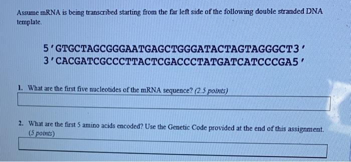 Solved Assume mRNA is being transcribed starting from the | Chegg.com