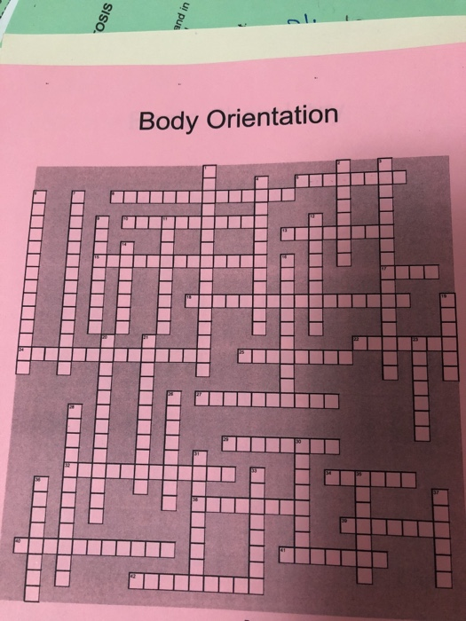 Solved Body Orientation EHBE HINAH HA HEIT111 HELEN HALLEE | Chegg.com