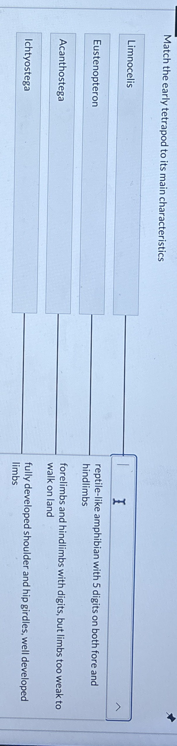 Solved Match the early tetrapod to its main | Chegg.com