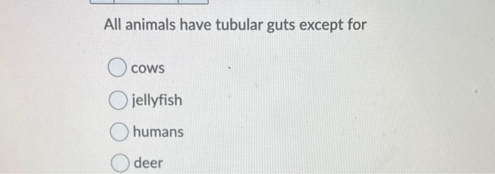 Solved All animals have tubular guts except for cows | Chegg.com