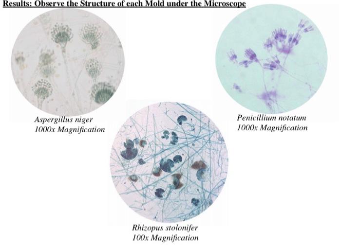 Solved please answer all these questions. please give | Chegg.com