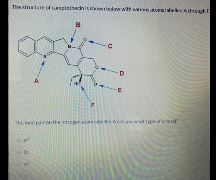 Solved The Structure Of Camptothecin Is Shown Below With