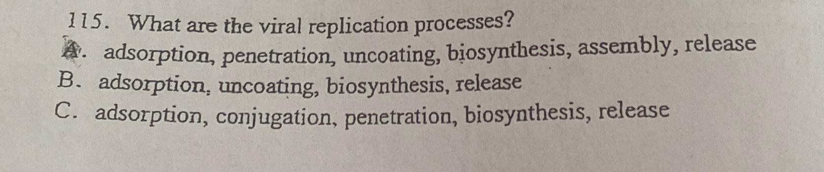 Solved What are the viral replication processes? | Chegg.com